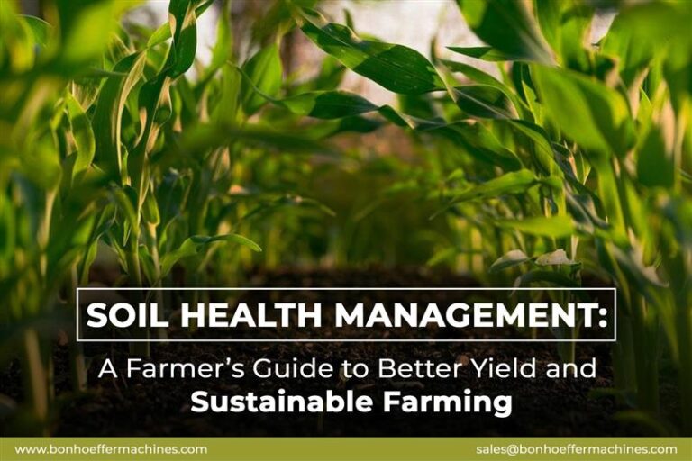 Soil Health Management: Farmer’s Guide to Sustainability